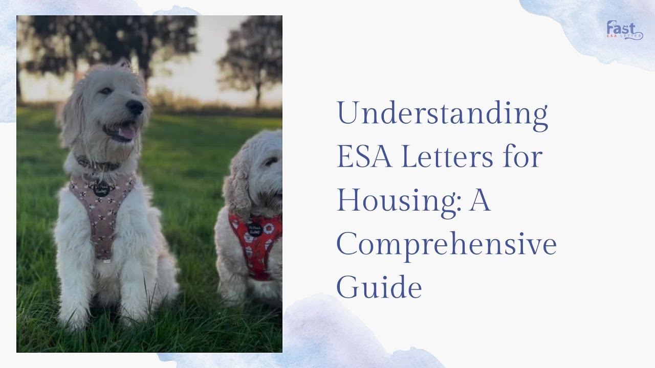 Understanding ESA Letters for Housing: A Comprehensive Guide - YouTube