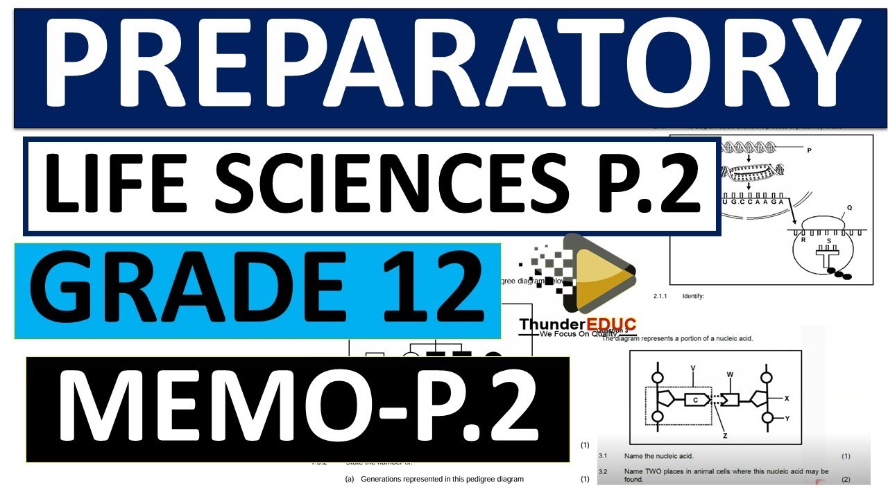 MEMO 2025 LIFE SCIENCES GRADE 12 PAPER 2 PRELIM EXAMS EASTERN CAPE P.2 ...