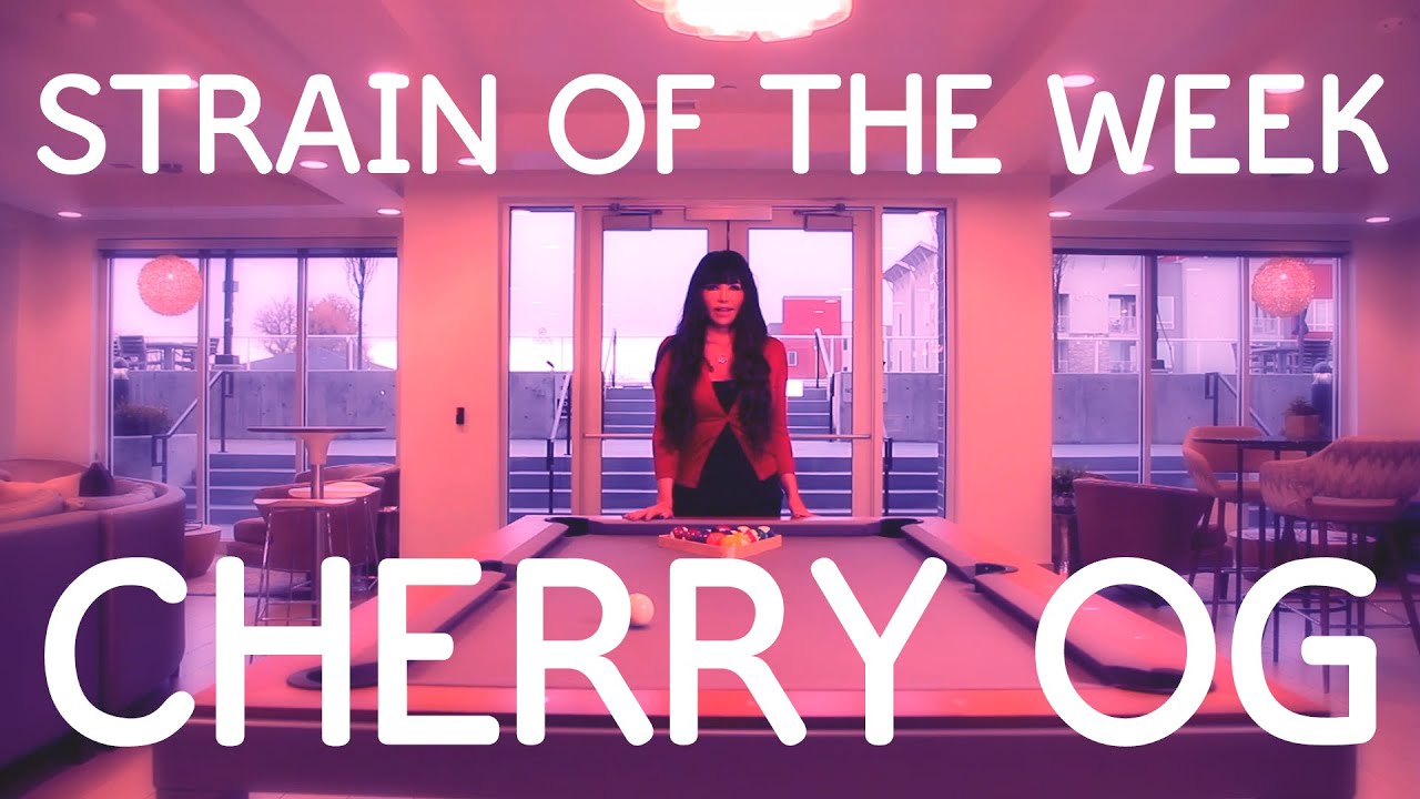 Best CHERRY OG Strain Review With Zoe! - YouTube