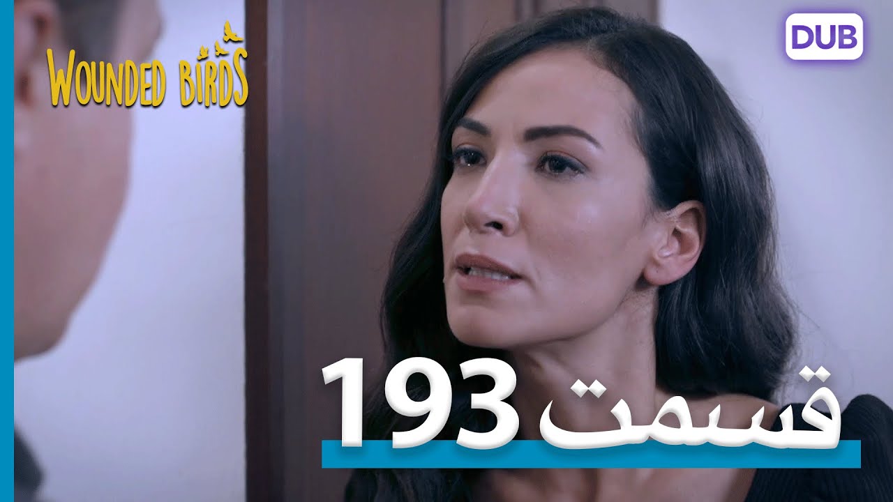 پرندگان زخمی | با دوبلۀ فارسی | قسمت 193 | Wounded Birds Episode 193 - YouTube