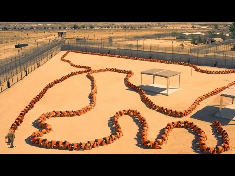 مأمور سجن سادي بيربط المساجين في بعض على هيئة قطار بشري عشان ميهربوش ابدا.. The human centipede