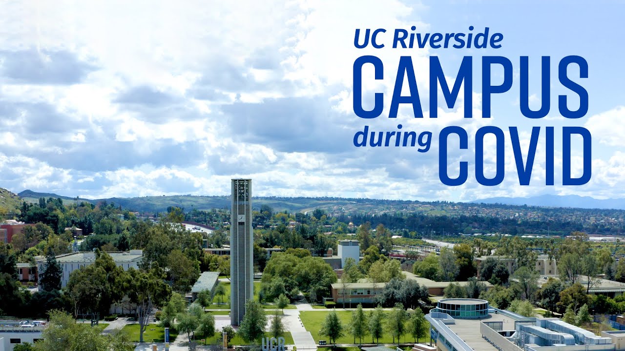Living at UC Riverside during COVID-19 - YouTube