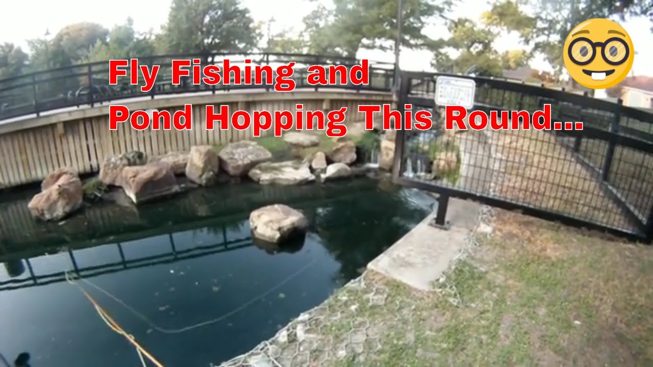Fly Fishing and Pond Hopping...! #flyfishing - YouTube