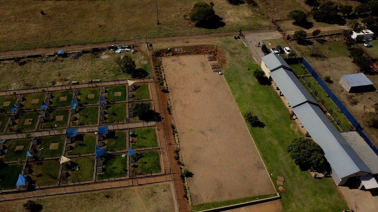 Husky Heaven Rescue 2 Episode 5 - YouTube