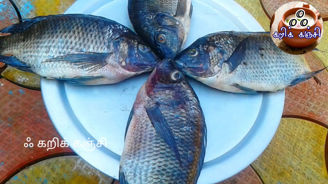 சிலேபி மீன் குழம்பு வைப்பது எப்படி / How to make silapi fish broth ...