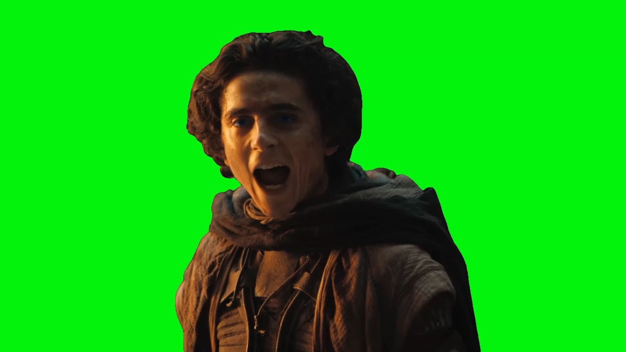 Dune 2 Silence!!!!!!!! "GREENSCREEN" #dune2 #dune #greenscreen #silence ...