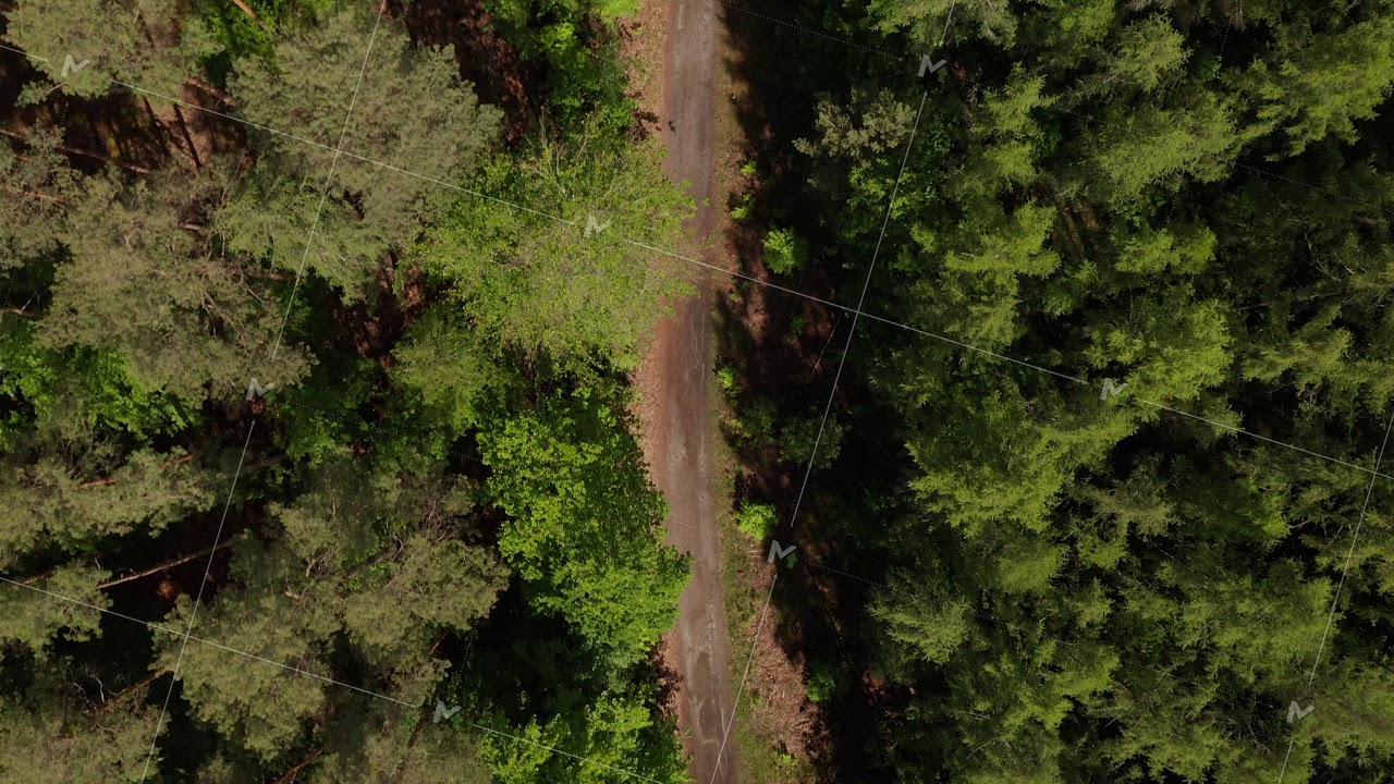 AERIAL: Slow Overhead Top Down Drone Shot of Dirt Path Way in Rich ...