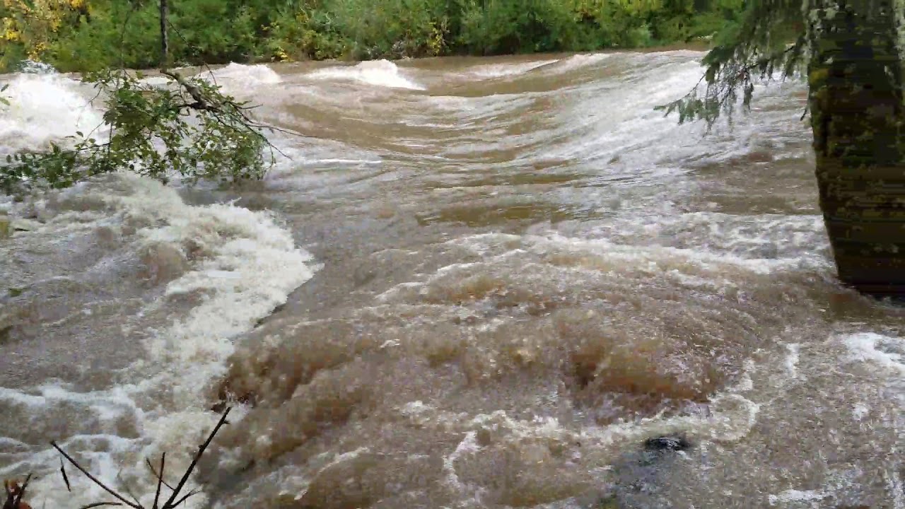 Calapooia River Crankin - YouTube