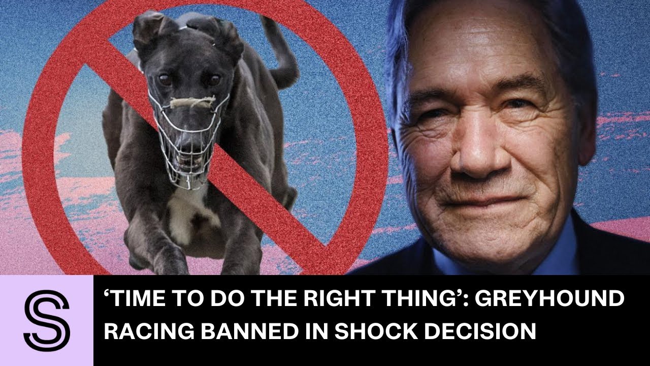 ‘Time to do the right thing’: Greyhound racing banned in shock decision ...