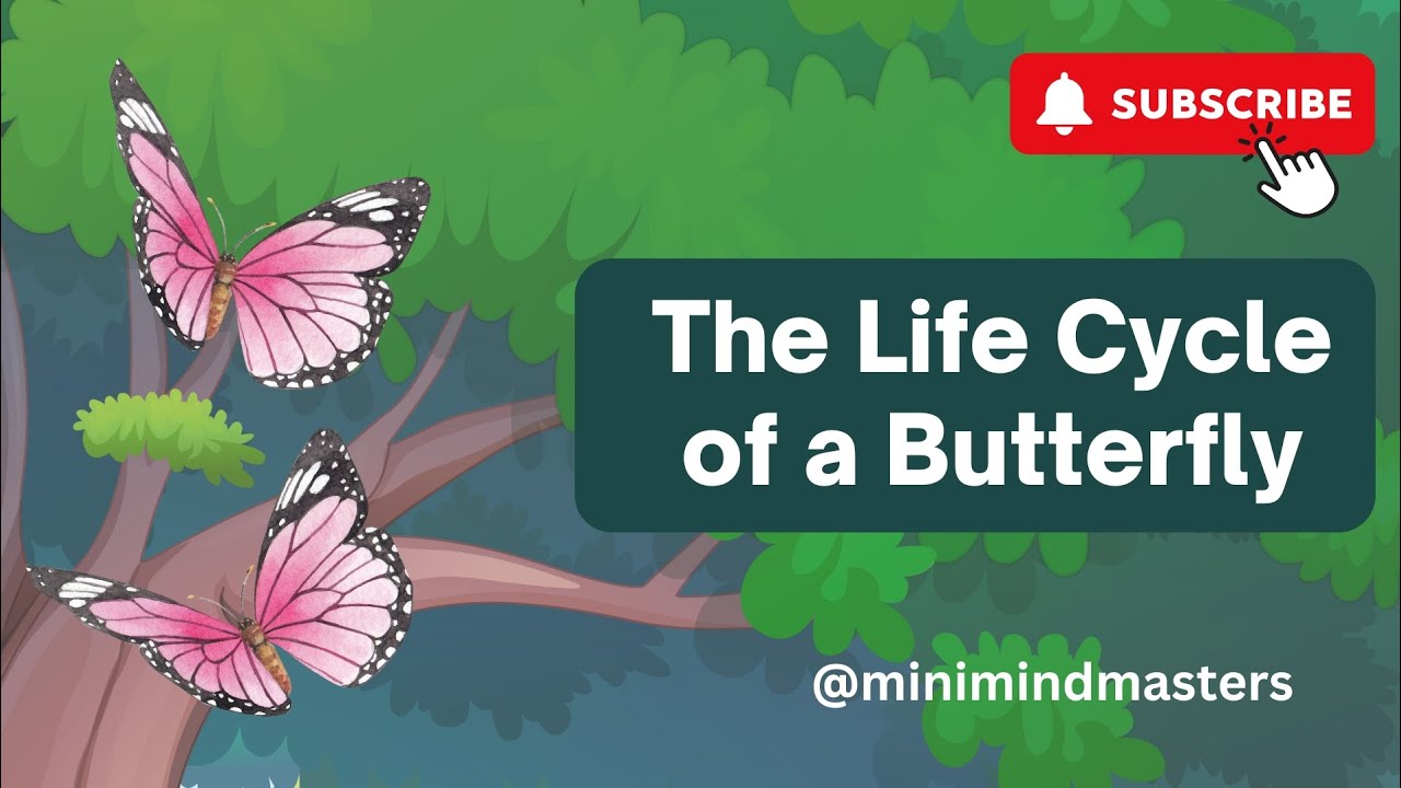 Life cycle of a butterfly|A fascinating adventure|Fun learning for kids ...