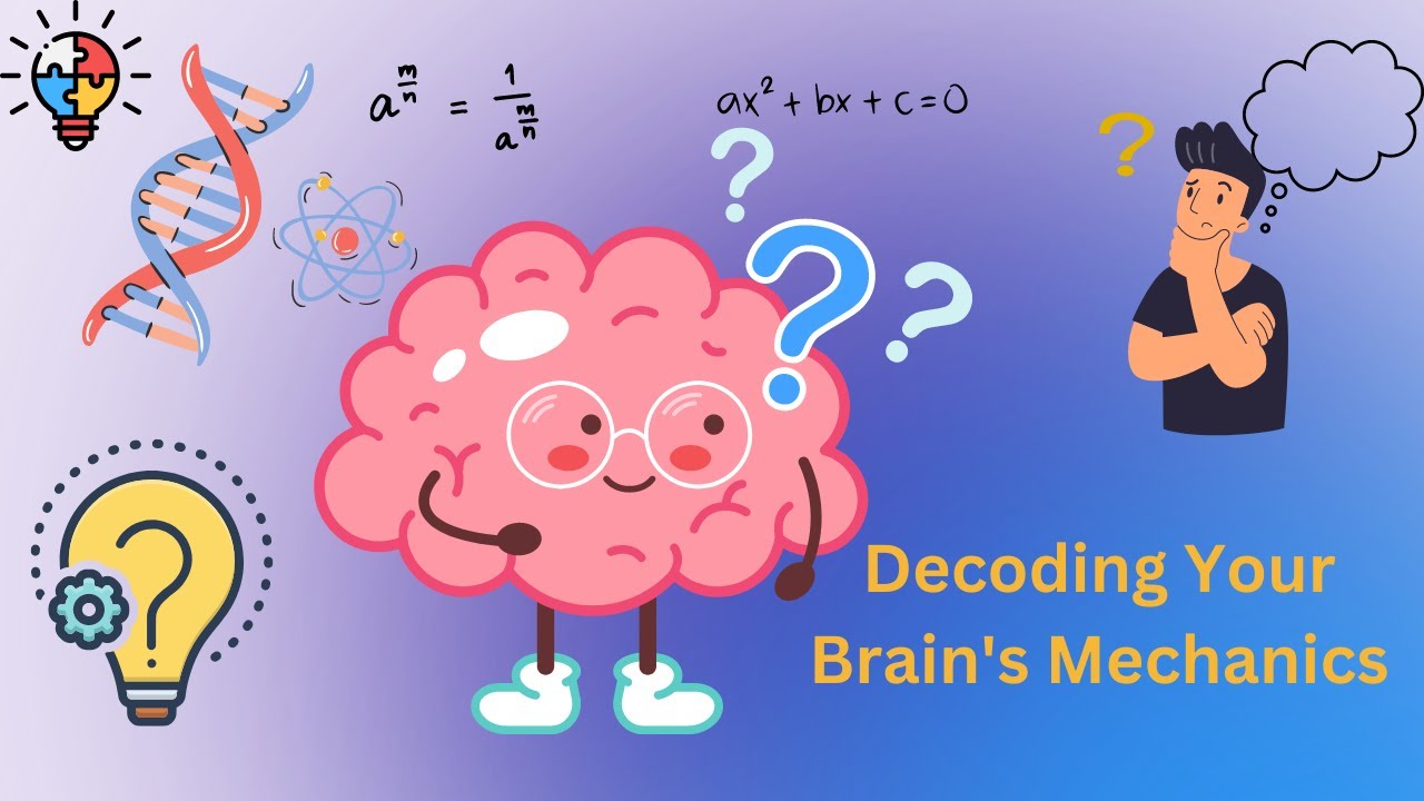 How Your Brain Works? | Brain Anatomy & Functions #brain #neuroscience ...