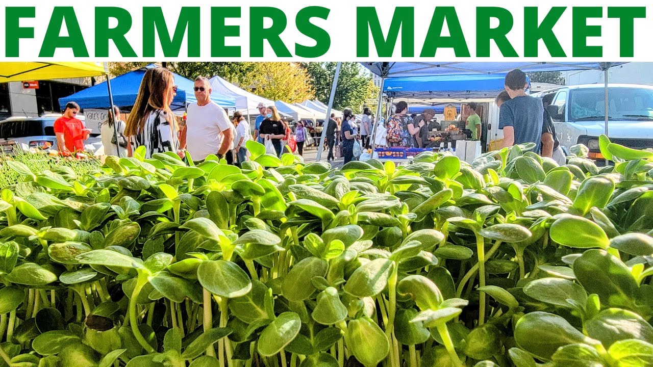 Farmers Market Setup + LIVE Q&A 03/01/22 - YouTube