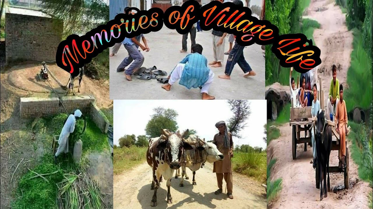 Beautiful memories of village life | Simple Village Life - YouTube