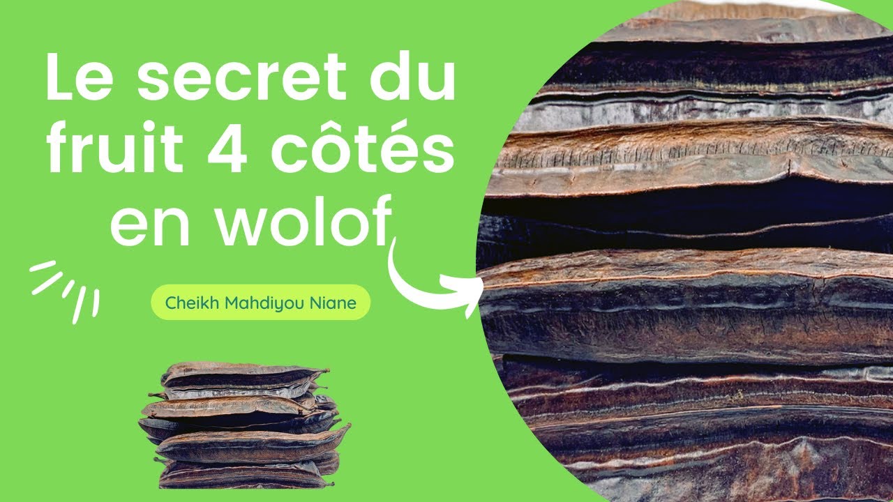 Le secret du fruit 4 côté, en wolof - YouTube