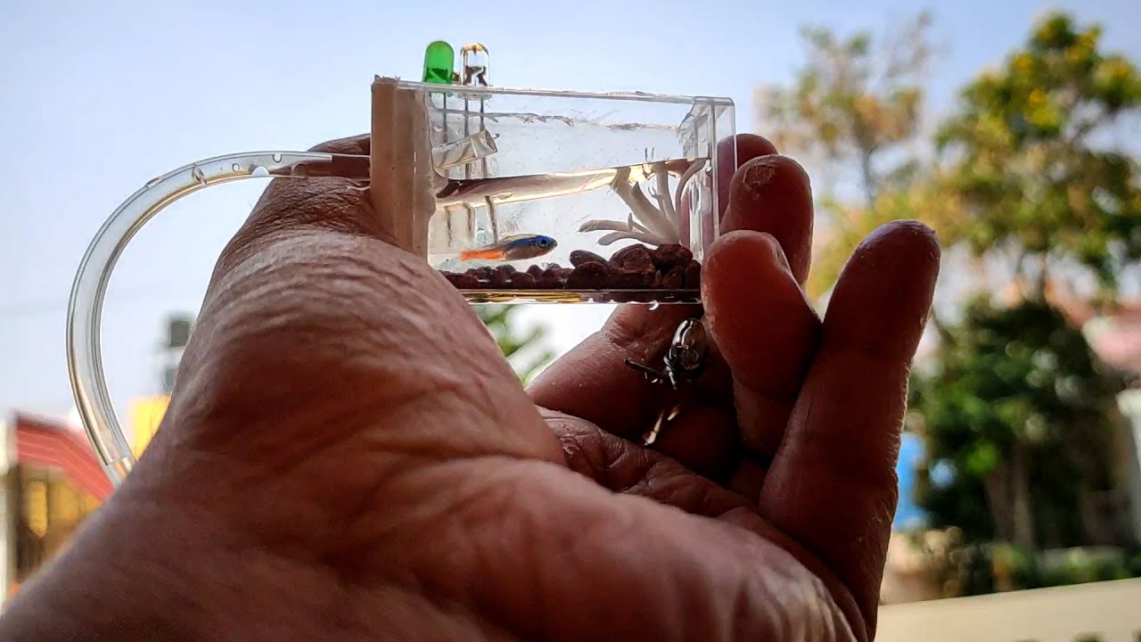 World Smallest Fish Aquarium | Nano aquarium Setup - YouTube