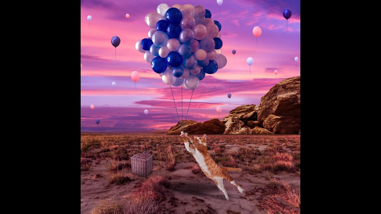 Flying Cat with Balloons Photoshop - Photo Manipulation Photoshop ...