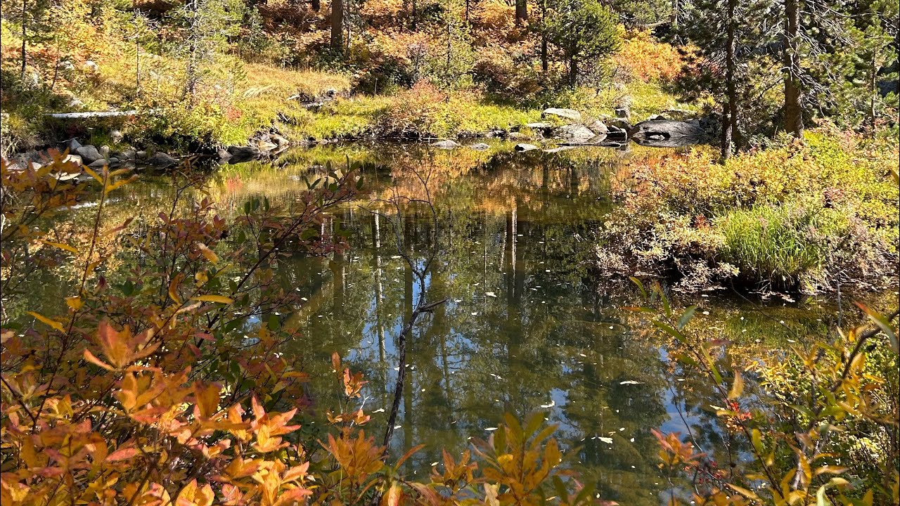 Indian Pools Trail 2023 - YouTube