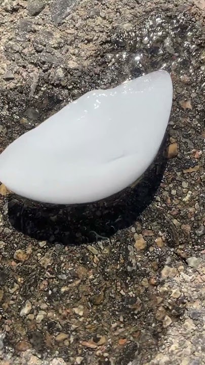 Arizona, ice cube melt challenge 107°F - YouTube