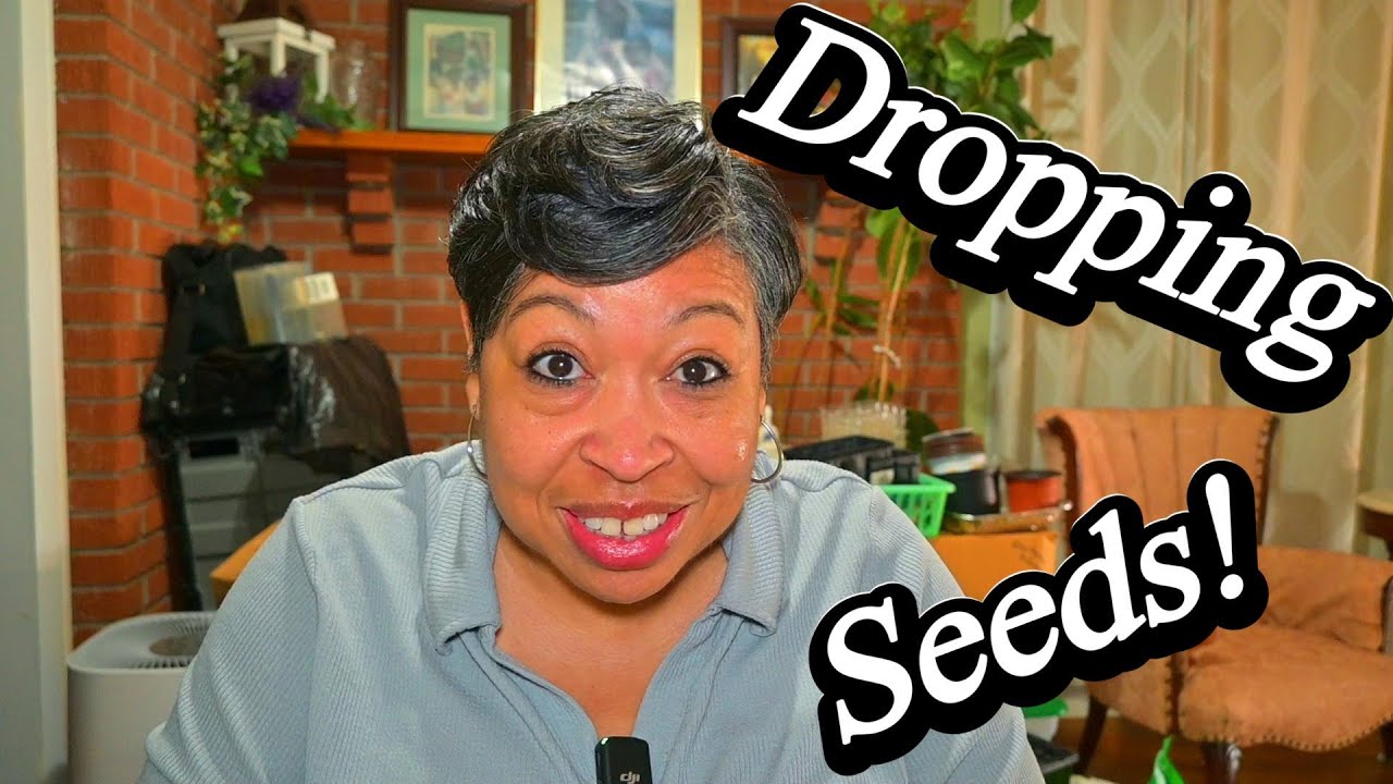 DROPPING Seeds For A Beautiful Garden! - YouTube