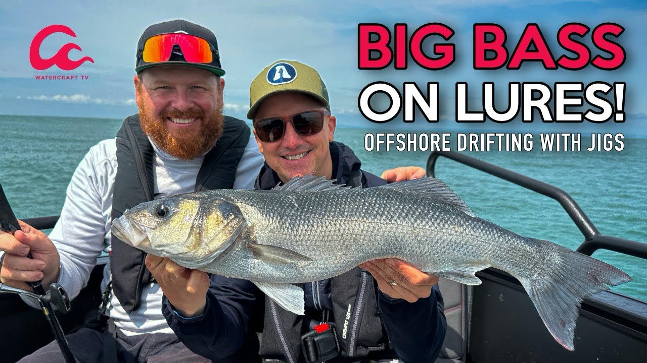 Lure Fishing for Big UK Sea Bass - Offshore jigging on light rods ...