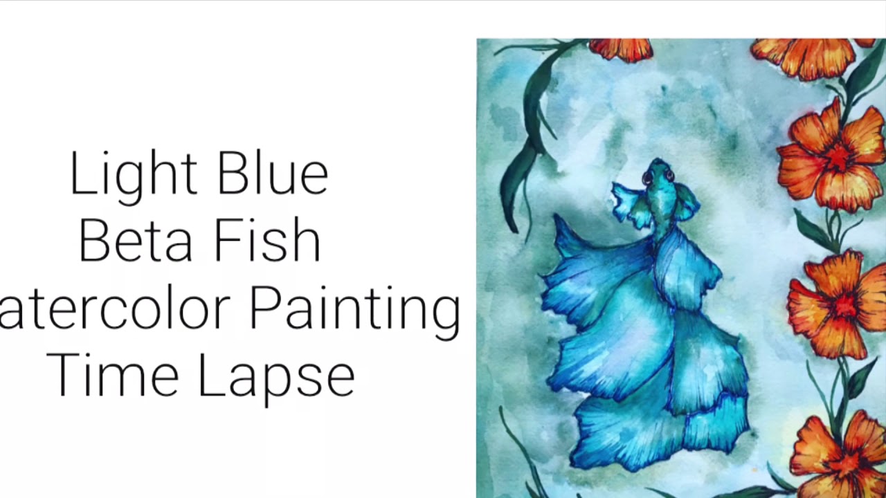 Light Blue Beta Fish Watercolor Painting Time Lapse. - YouTube
