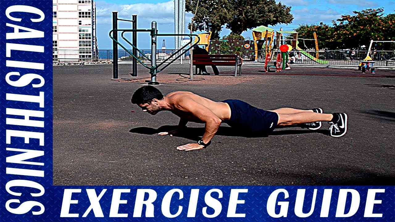 CALISTHENICS EXERCISE GUIDE - Ordered by Muscle and Difficulty - YouTube