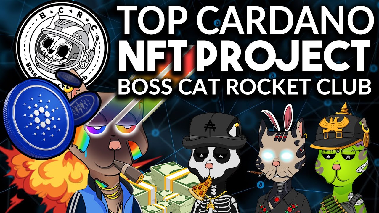 BIGGEST Cardano CNFT Project TO BLOW UP! Be A Millionaire With CNFTs ...