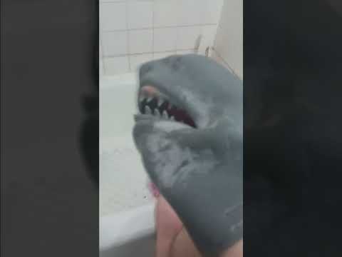 meat riding belike - YouTube