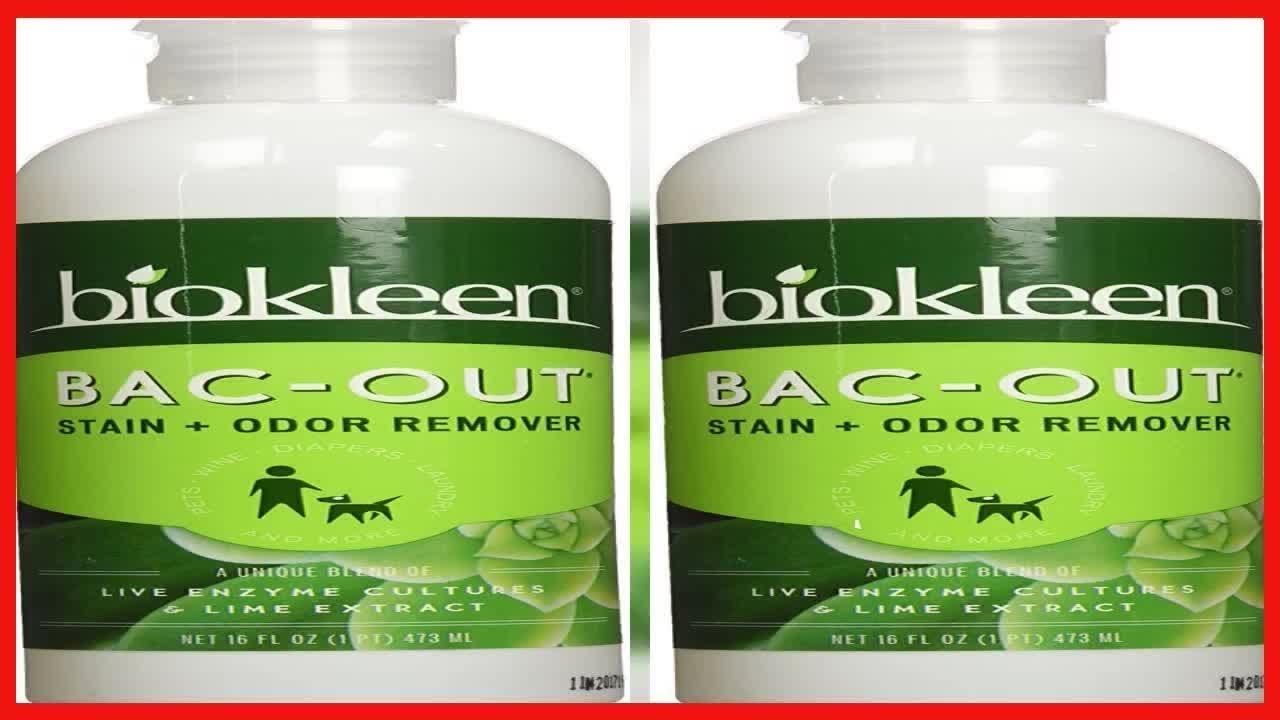 Biokleen Bac-Out Stain+Odor Remover, 16 Oz, 16 Fl. Oz - ALK Shop - YouTube