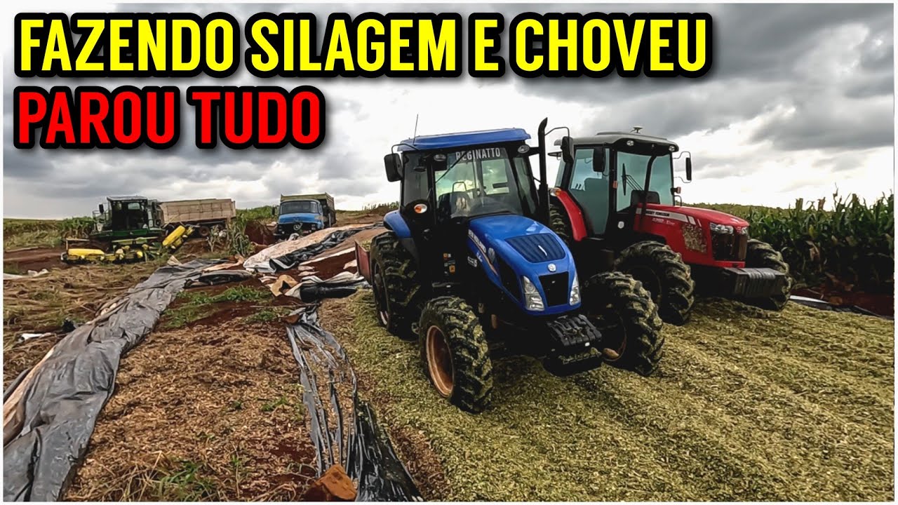 Fazendo SILAGEM DE MILHO depois da seca (choveu no silo aberto) - YouTube