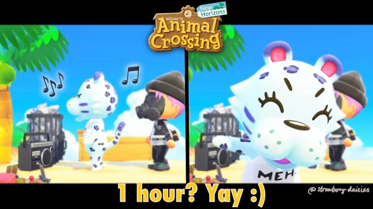 Bianca sings K.K. Birthday and does the zoomies (1 hour loop) | Animal ...