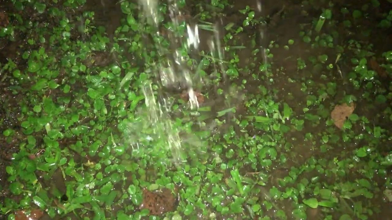 Outdoor Squirt - YouTube
