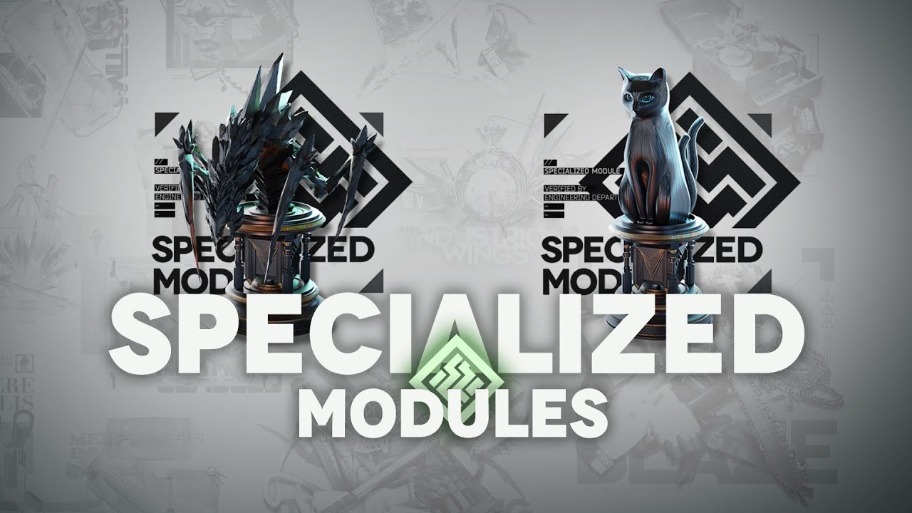 Specialized Modules EXPLAINED + My thoughts about them - YouTube