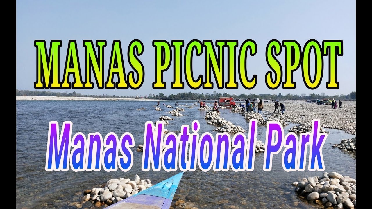 Picnic at Manas | Manas River | Manas National Park | 2019 - YouTube