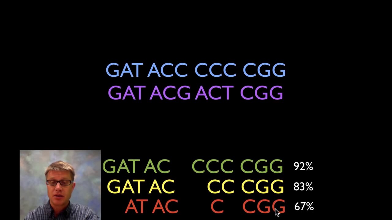 Comparing DNA Sequences - YouTube