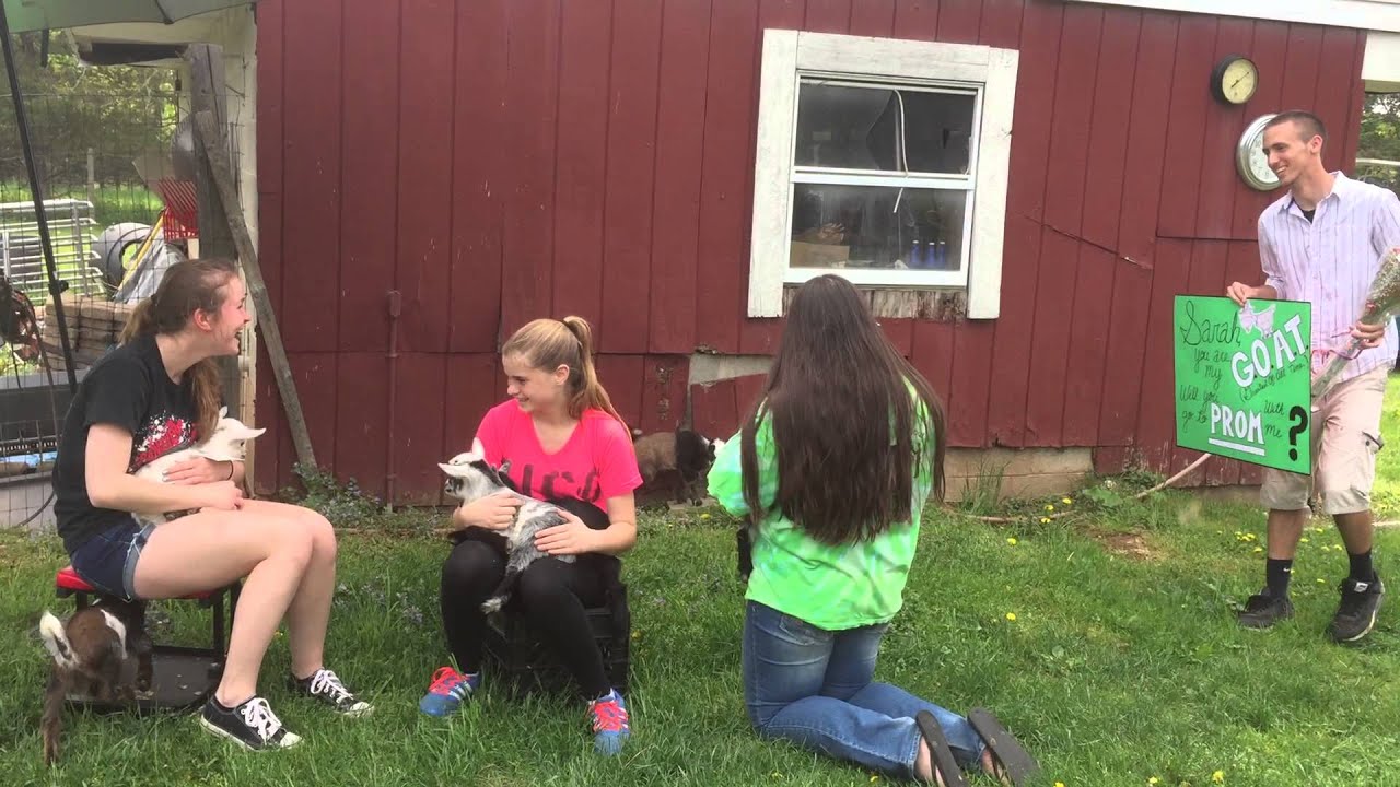 Goat Prom Proposal - YouTube