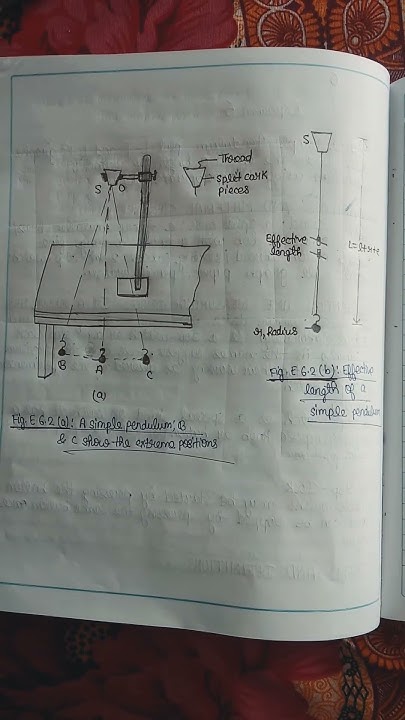 class 11 physics practical using a simple pendulum plot L-T & L-T^2 graph..by@MuskanStudy ...