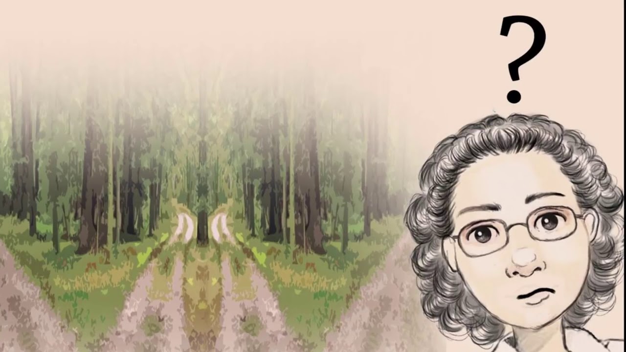 VILMA An Ordinary Girl a Human Rights Heroine, Gal Harmat's course ...