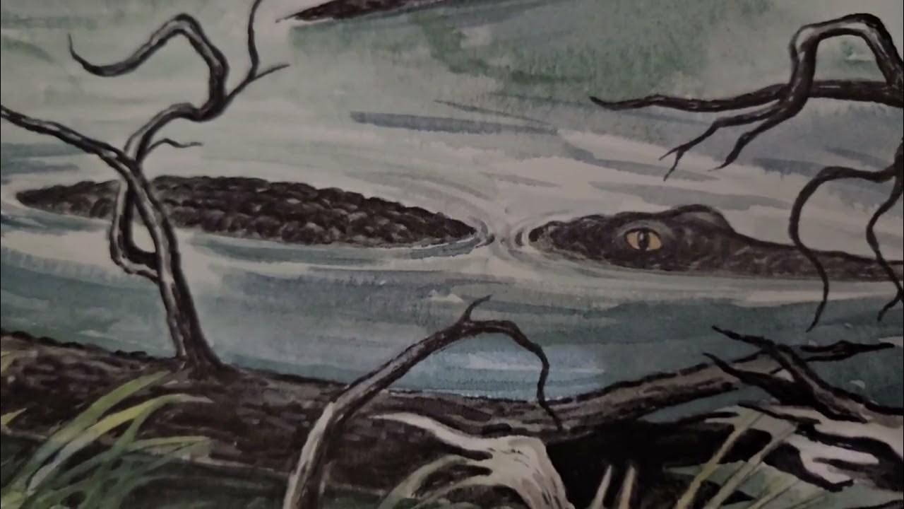 Find me a tiger By Lynley Dodd (read by Paige) - YouTube