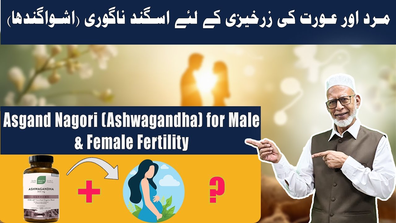 Asgand Nagori (Ashwagandha) for Male & Female Fertility | Improve Sperm ...