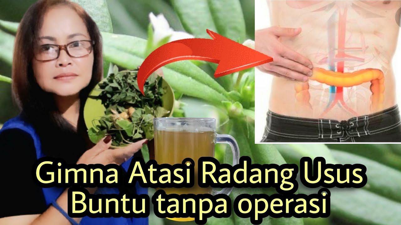 RADANG USUS BUNTU[[Khasiat mujarab rumput mutiara[Obati usus turun ...