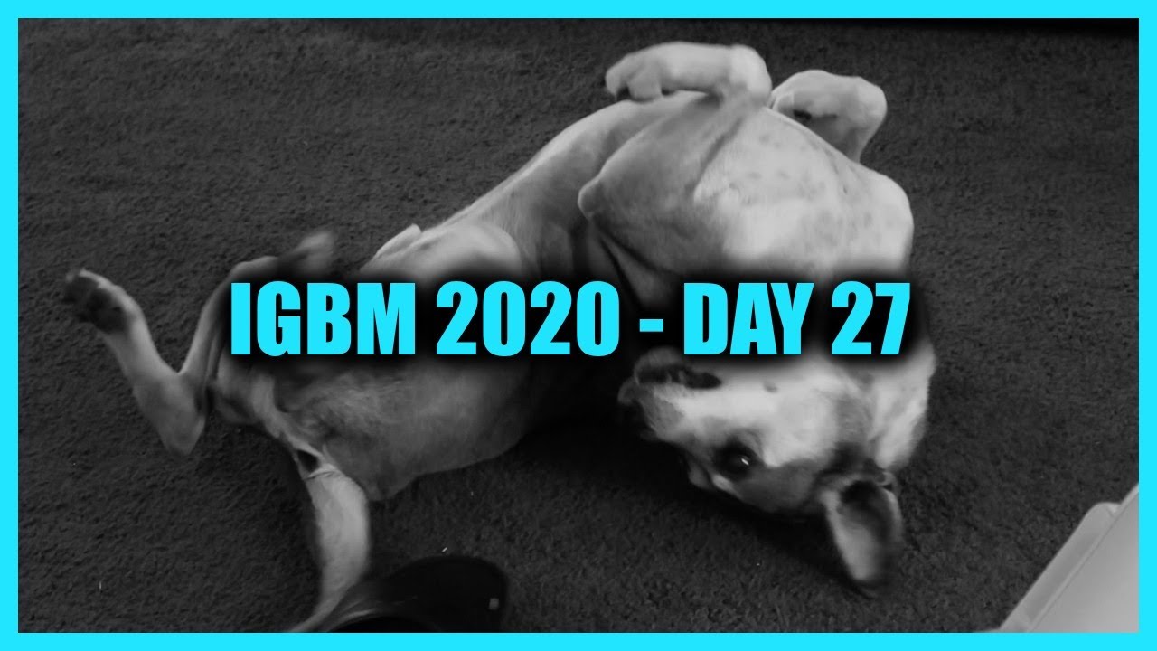 IGBM 2020 - DAY 27 - YouTube
