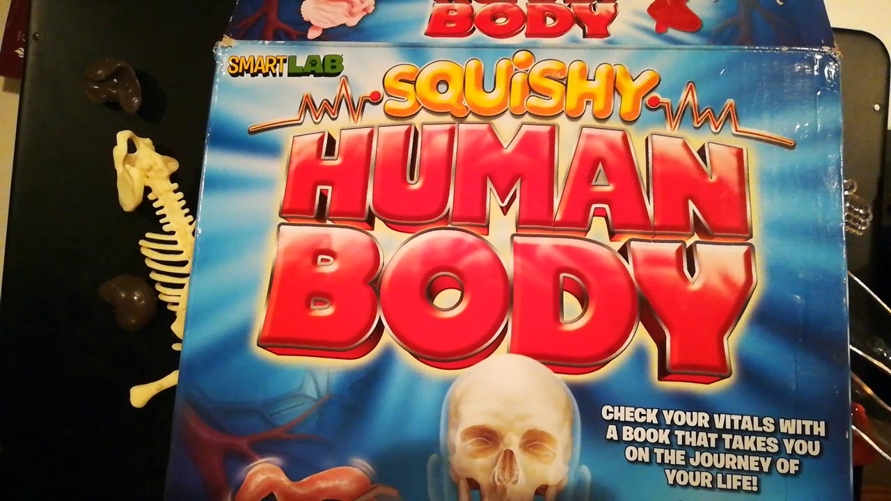 Squishy Human Body Review - YouTube