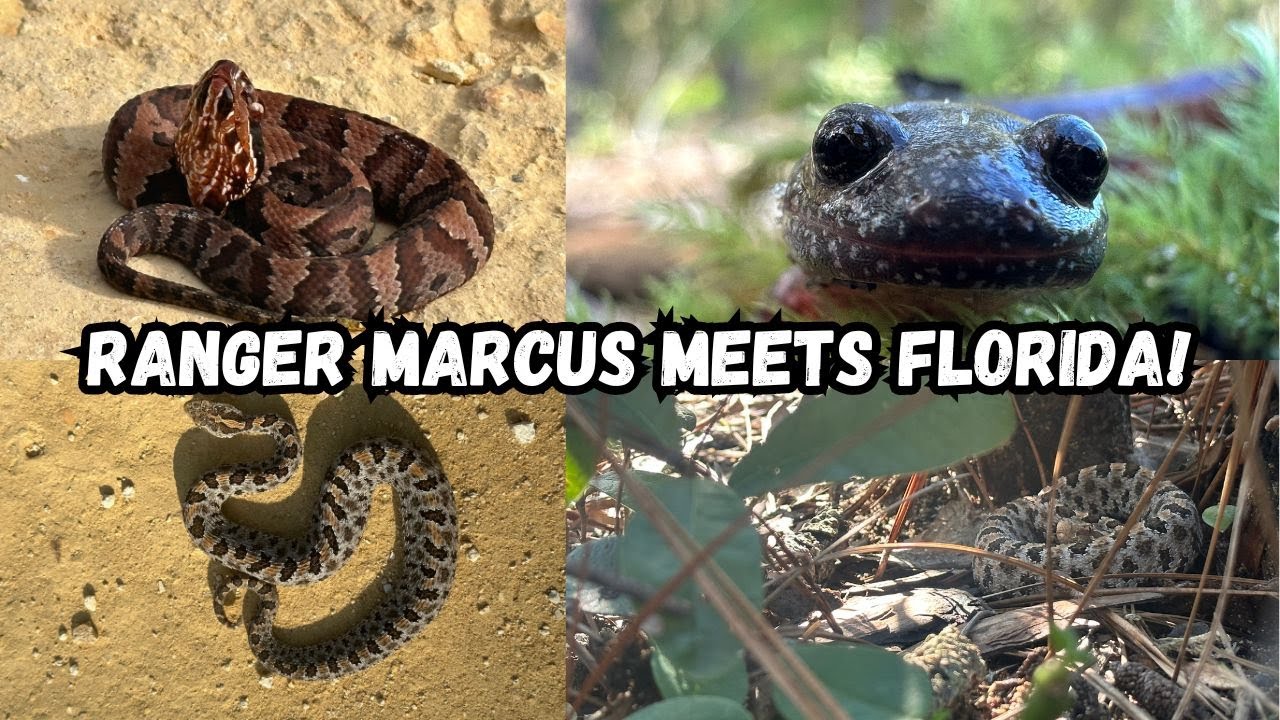 Ranger Marcus Meets FLORIDA! My New Truck - YouTube