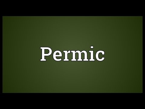 Permic Meaning