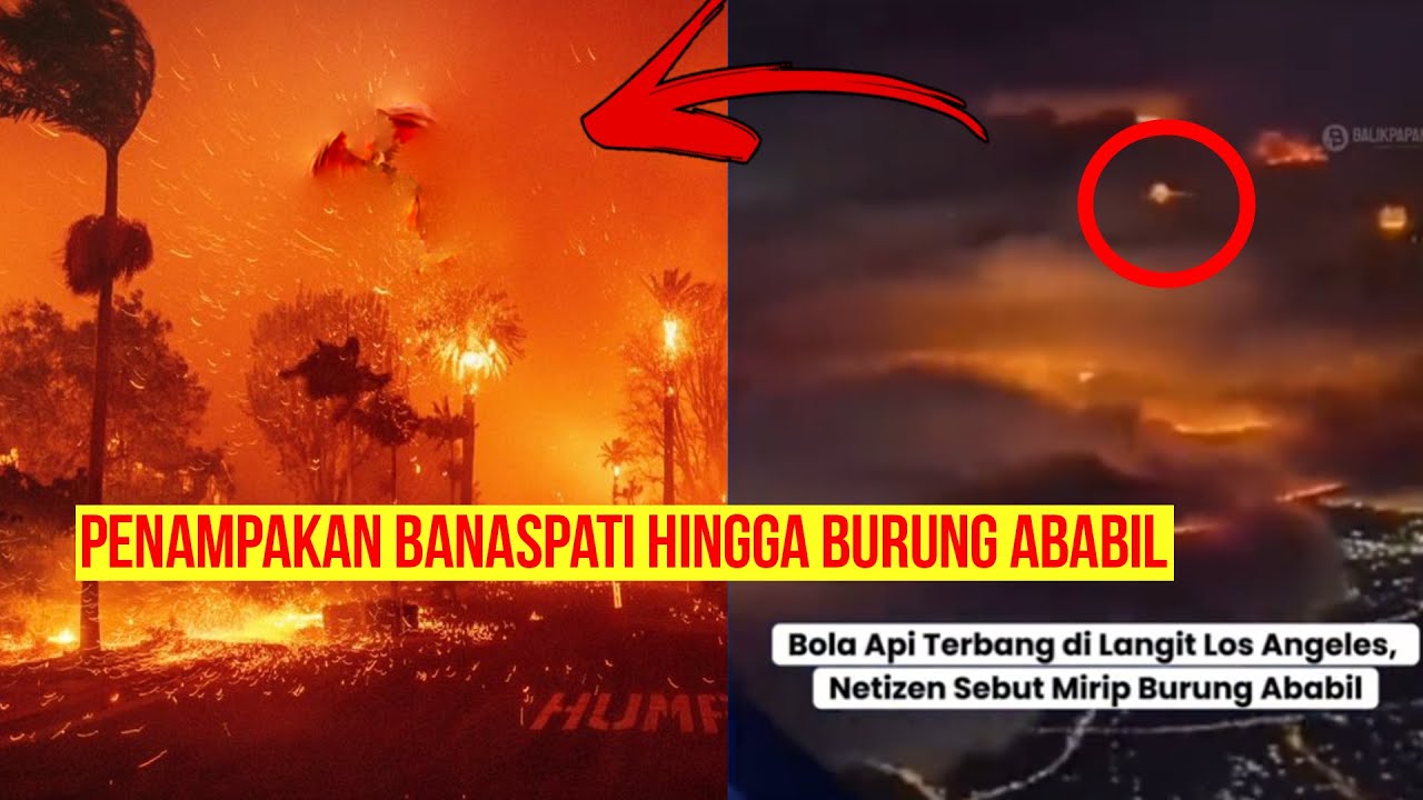 PENAMPAKAN BOLA API DI CALIFORNIA NETIZEN SEBUT BANASPATI HINGGA BURUNG ...