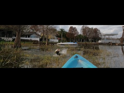 Orlando Series Ep. 21 Lake Orienta - YouTube