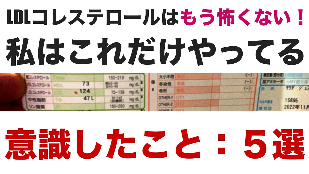【過去最高LDLは181】2022年11月30日に受けた血液検査の結果報告動画 - YouTube