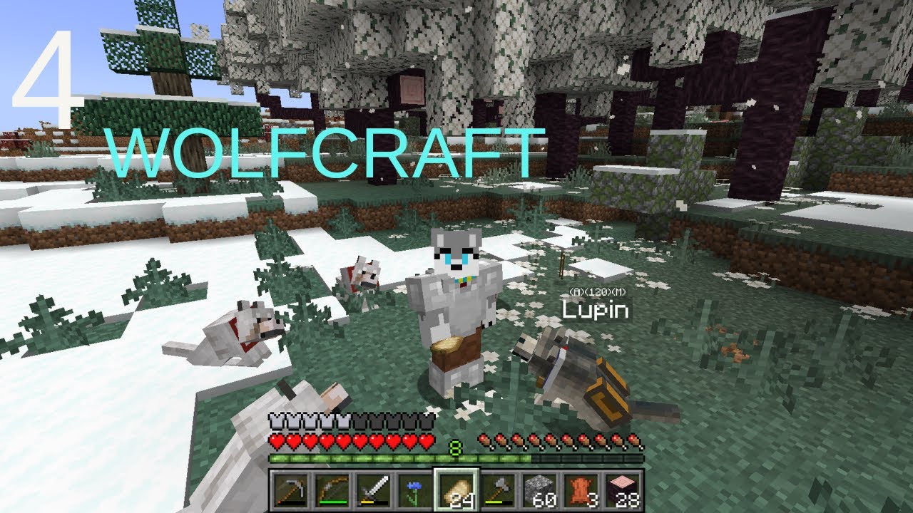 The Wolf Biome| WolfCraft {Ep.4} - YouTube