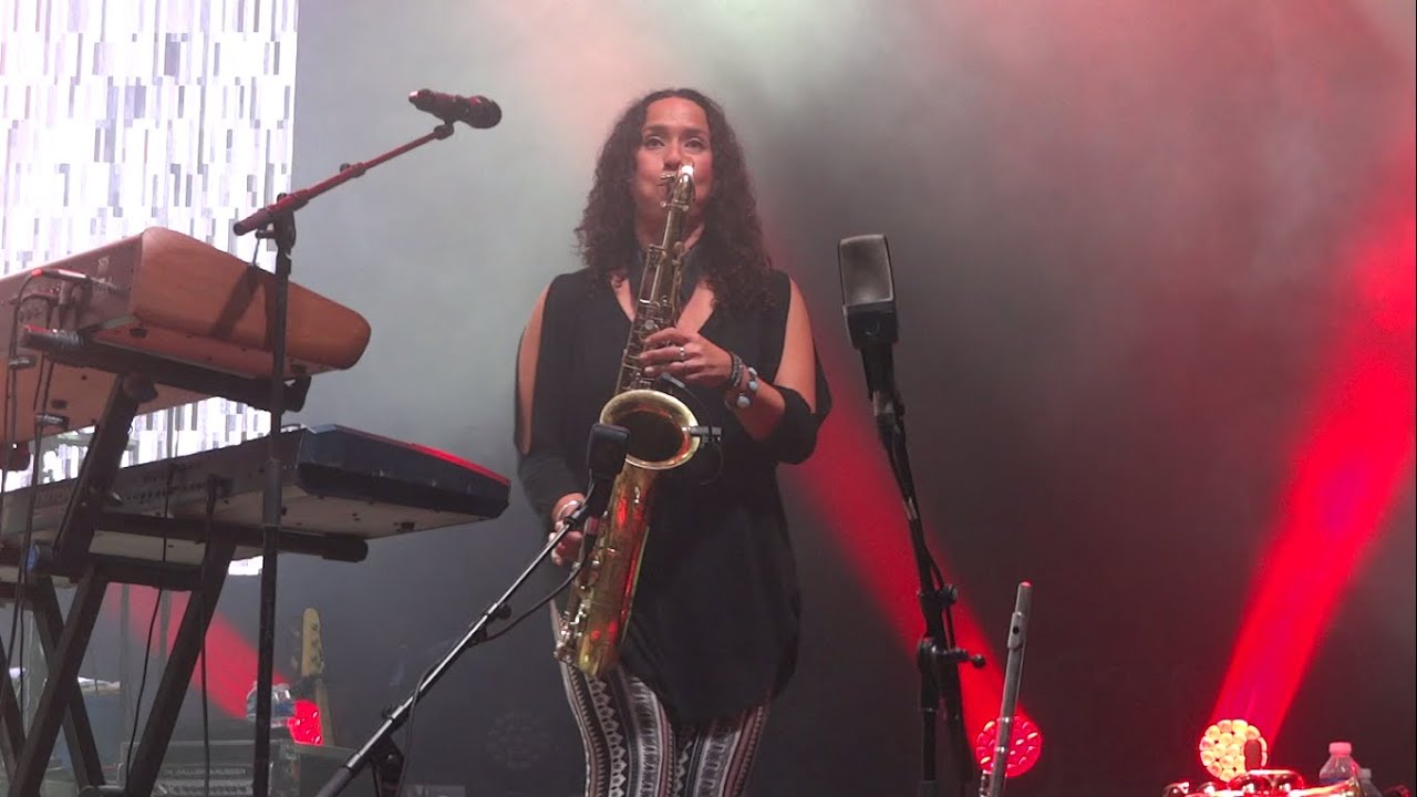 DWEEZIL ZAPPA + SCHEILA GONZALEZ Live from GUITARE EN SCENE FESTIVAL ...